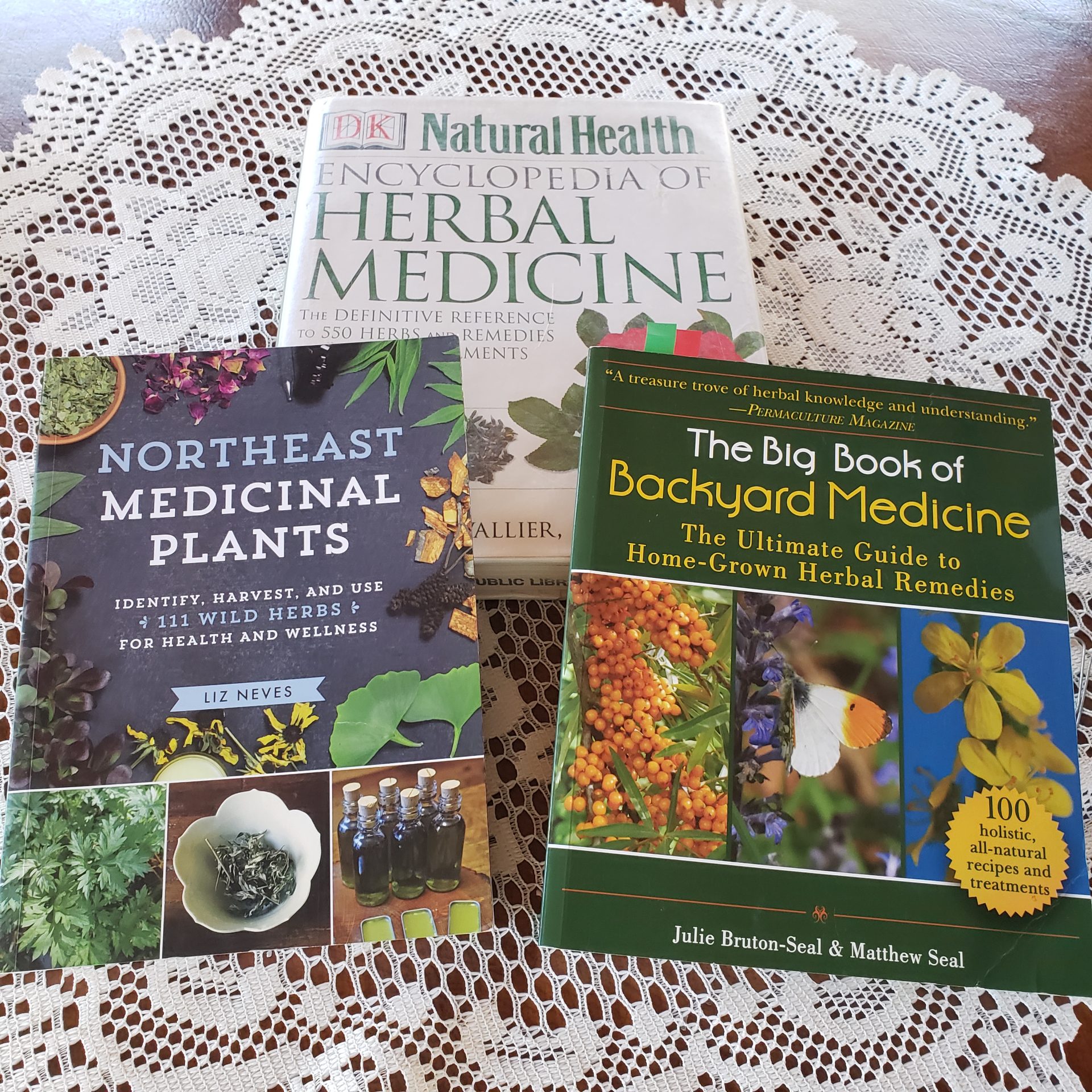 The 22 Best Herbal Medicine Books For Self-Study - The Outdoor Apothecary