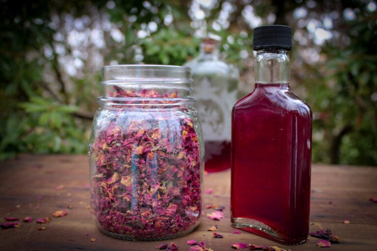 Making And Using Rose Syrup: A Delicious Botanical Surprise - The ...