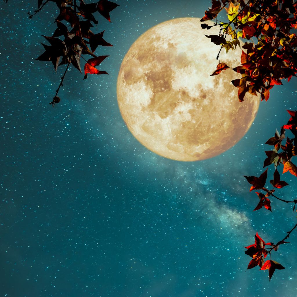 Strawberry Moon Magic: Exploring The Folklore And Significance Of June ...