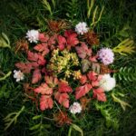 July's Full Moon: Exploring The Folklore And Significance Of A Buck ...
