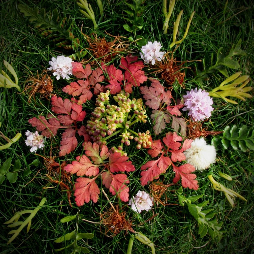 Strawberry Moon Magic: Exploring The Folklore And Significance Of June ...