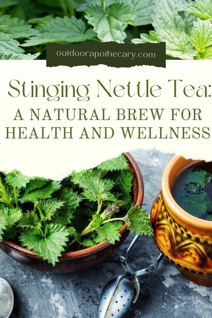 The Power Of Stinging Nettle Tea: A Natural Brew For Health And ...