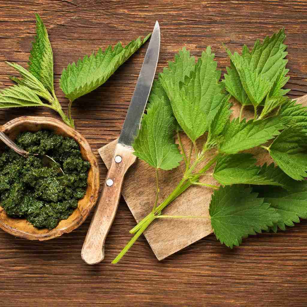 Removing The Sting: How To Blanch Nettles For Safe Consumption - The ...