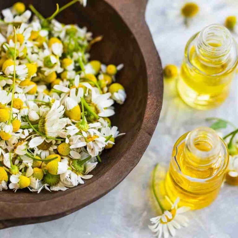 How To Make Powerful Herbal Glycerites: Alcohol-Free Tincture ...