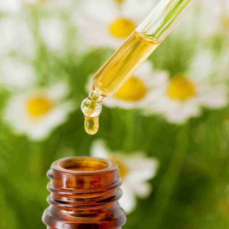 How To Make Powerful Herbal Glycerites: Alcohol-Free Tincture ...