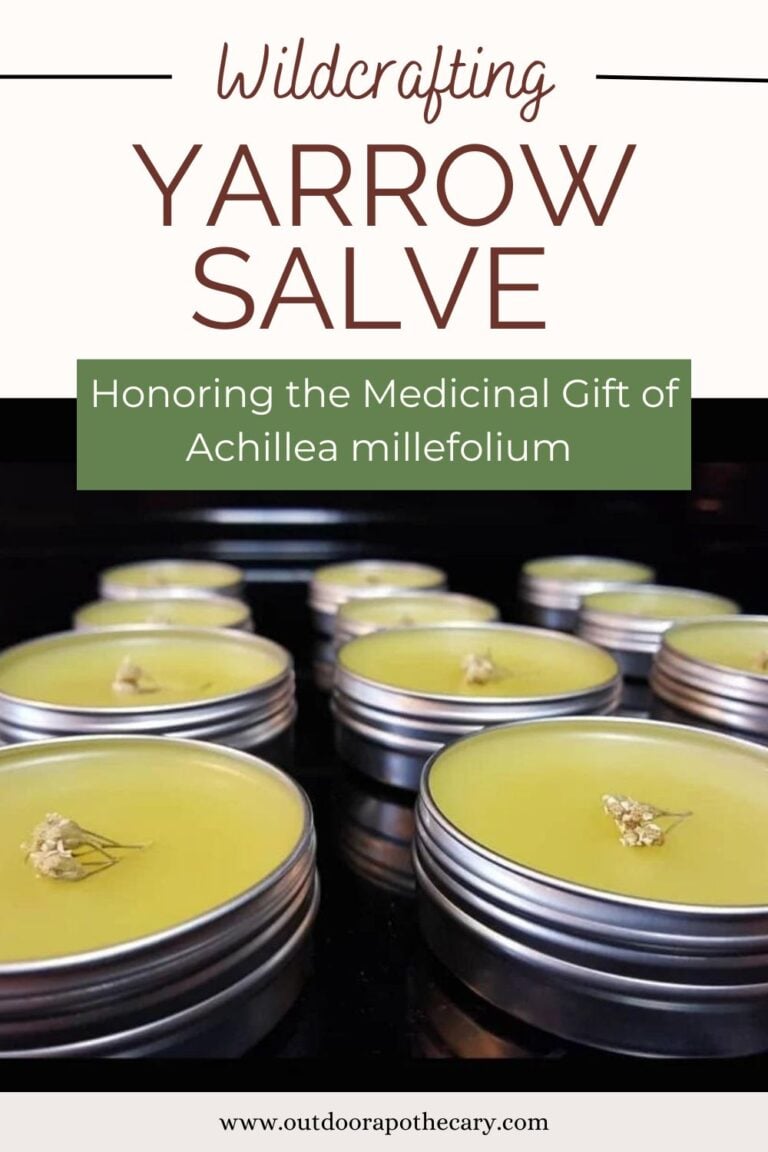 Crafting Yarrow Salve - The Outdoor Apothecary