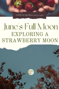 Strawberry Moon Magic: Exploring The Folklore And Significance Of June ...