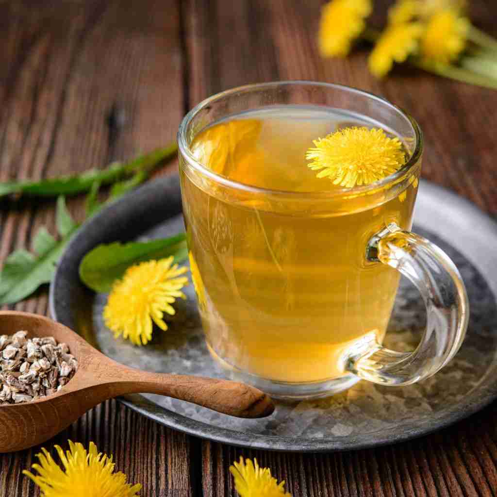 Dandelion Root Tea: A Nutritious Gift From Nature - The Outdoor Apothecary