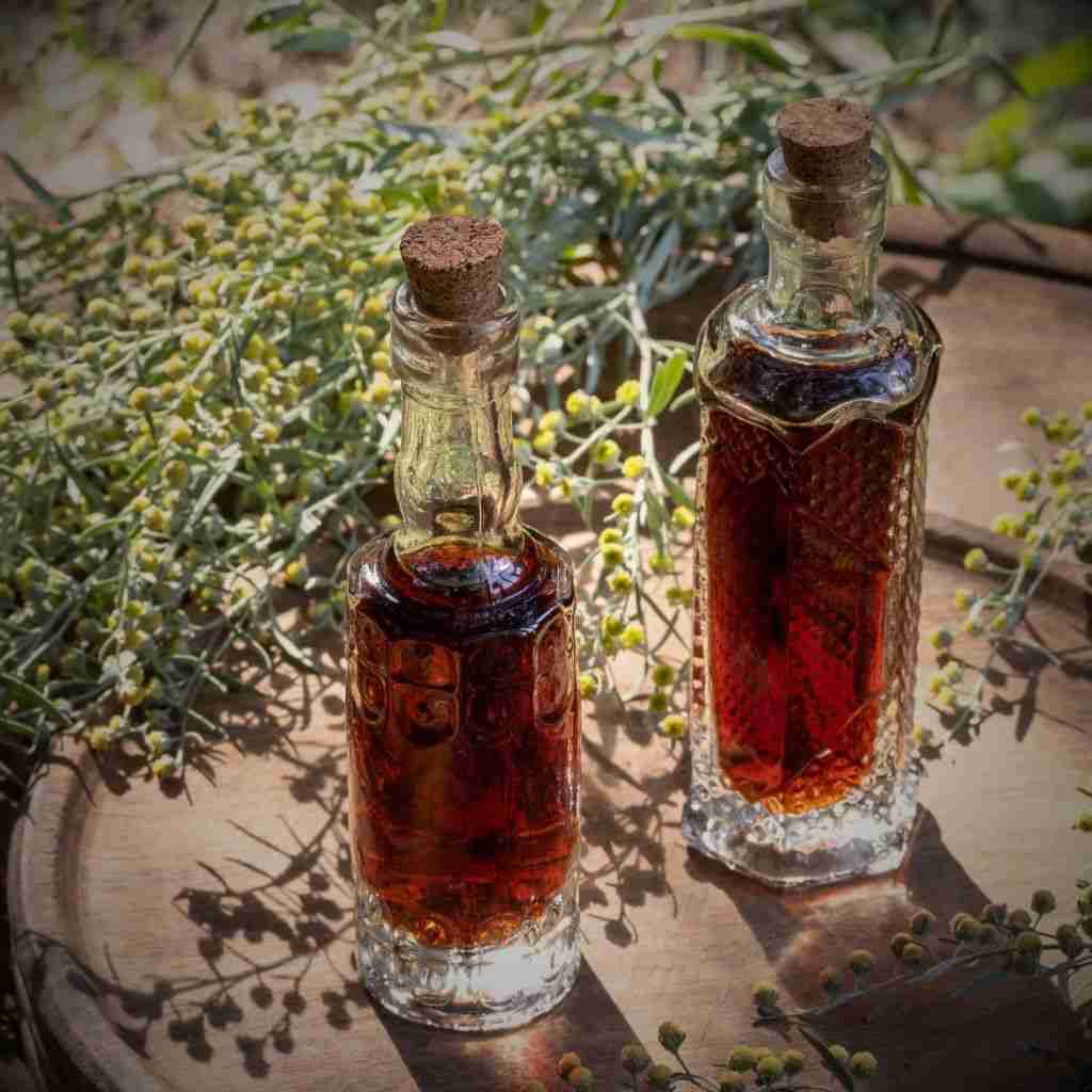 My Love Affair With Herbal Oxymels - The Outdoor Apothecary