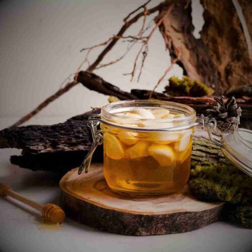 Easy Fermented Garlic Honey: Benefits And Recipe - The Outdoor Apothecary