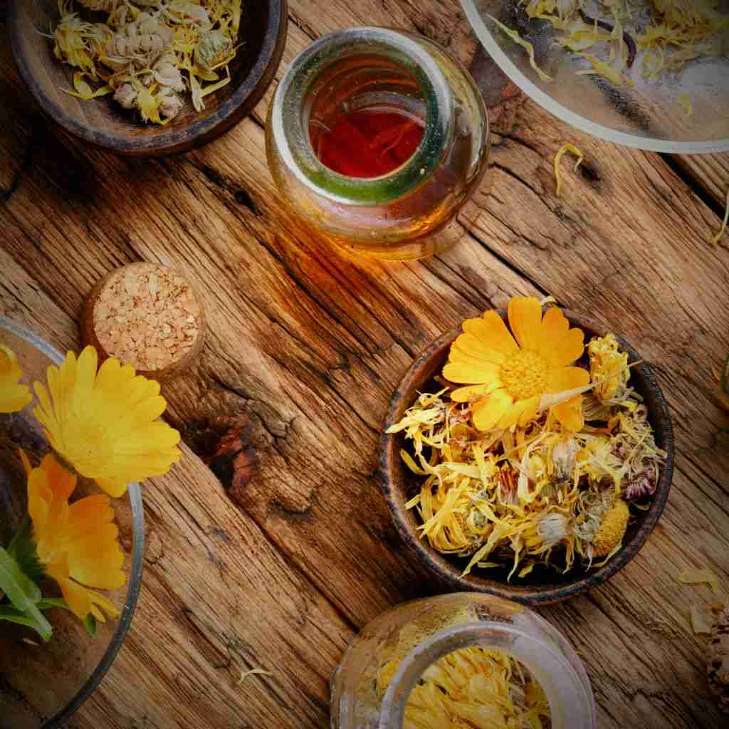 How To Make Homemade Calendula Cream: An Easy Step-by-Step Guide - The ...