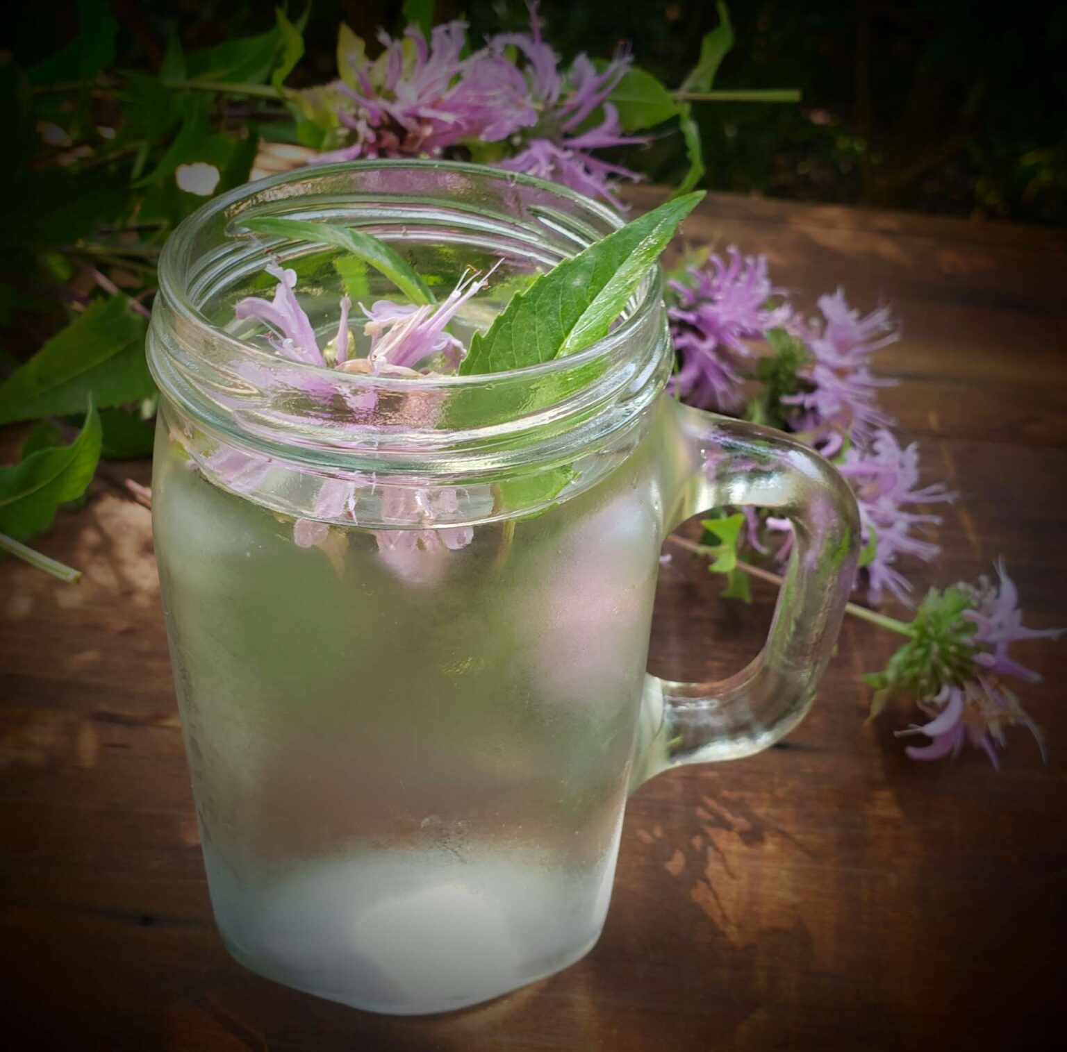 The Medicinal Magic Of Bee Balm Tea & Brewing The Perfect Cup - The ...