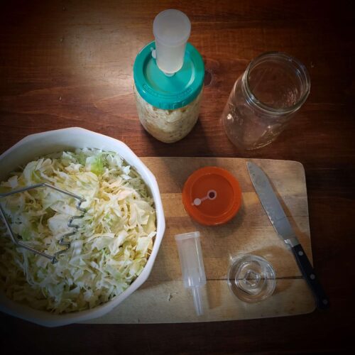 Homemade Fermented Shrubs: Health Benefits And Easy Preparation - The ...