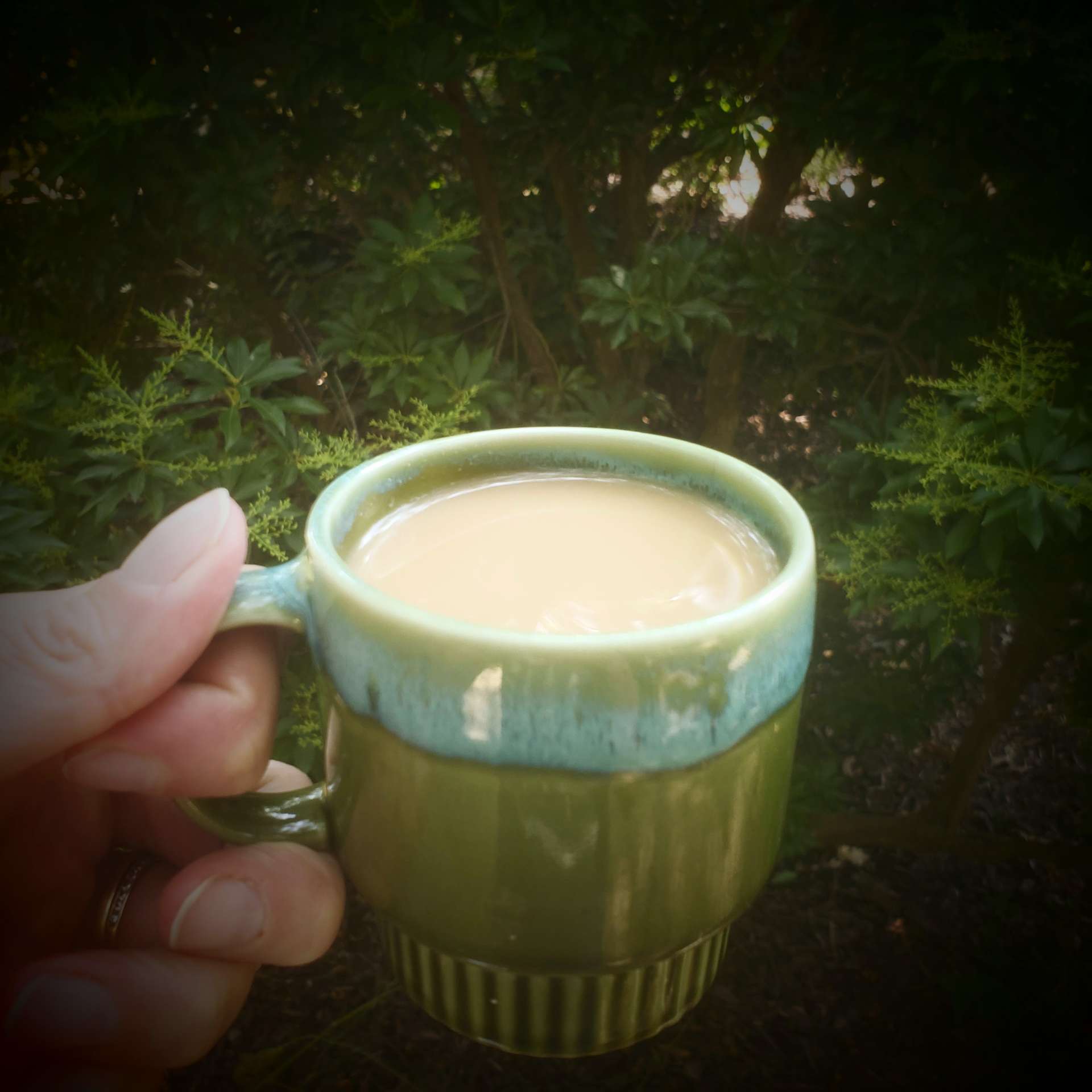 Homemade Chai Tea: A Cozy Delight For Autumn Celebrations - The Outdoor ...