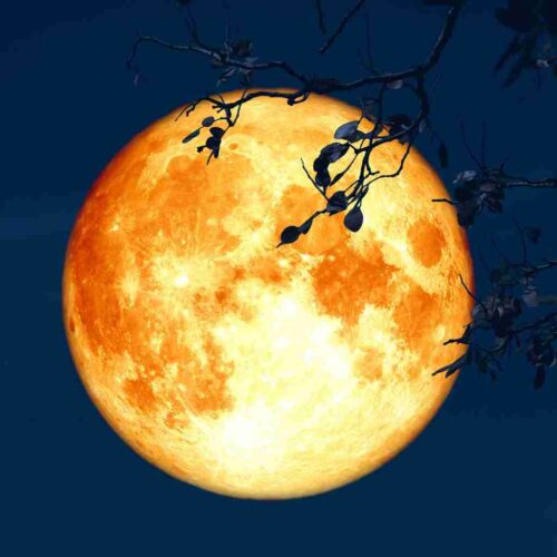 October’s Full Moon: Delving Into The Traditions And Magic Of The ...