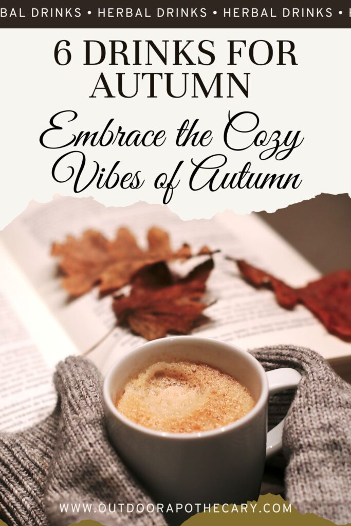 Drinks For Autumn: Sip On These 6 Delicious Autumn-Inspired Drinks ...