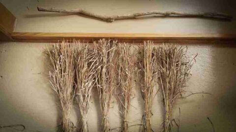 Crafting Your Own Besom: Explore The Magic Of The Witch's Broom - The ...