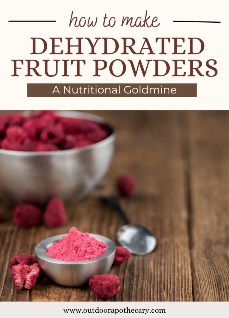 How To Make Your Own Healthy Fruit Powders - The Outdoor Apothecary