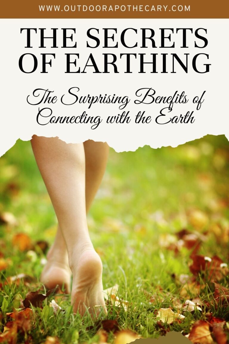 Earthing: The Surprising Benefits Of Connecting With The Earth - The ...