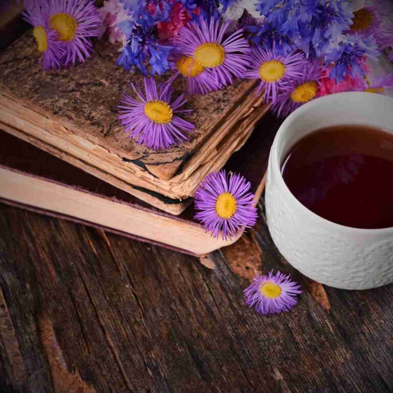 New England Aster Plants: Identification, Uses, And Medicinal Benefits ...