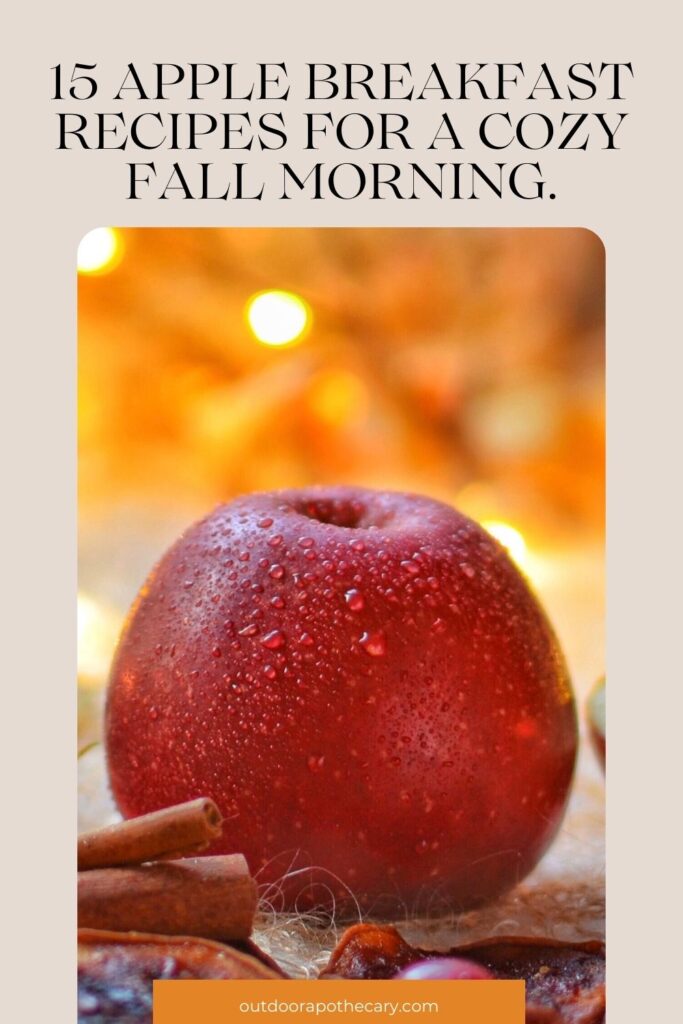 15 Breakfast Recipes With Apple That Are Perfect For Fall - The Outdoor ...