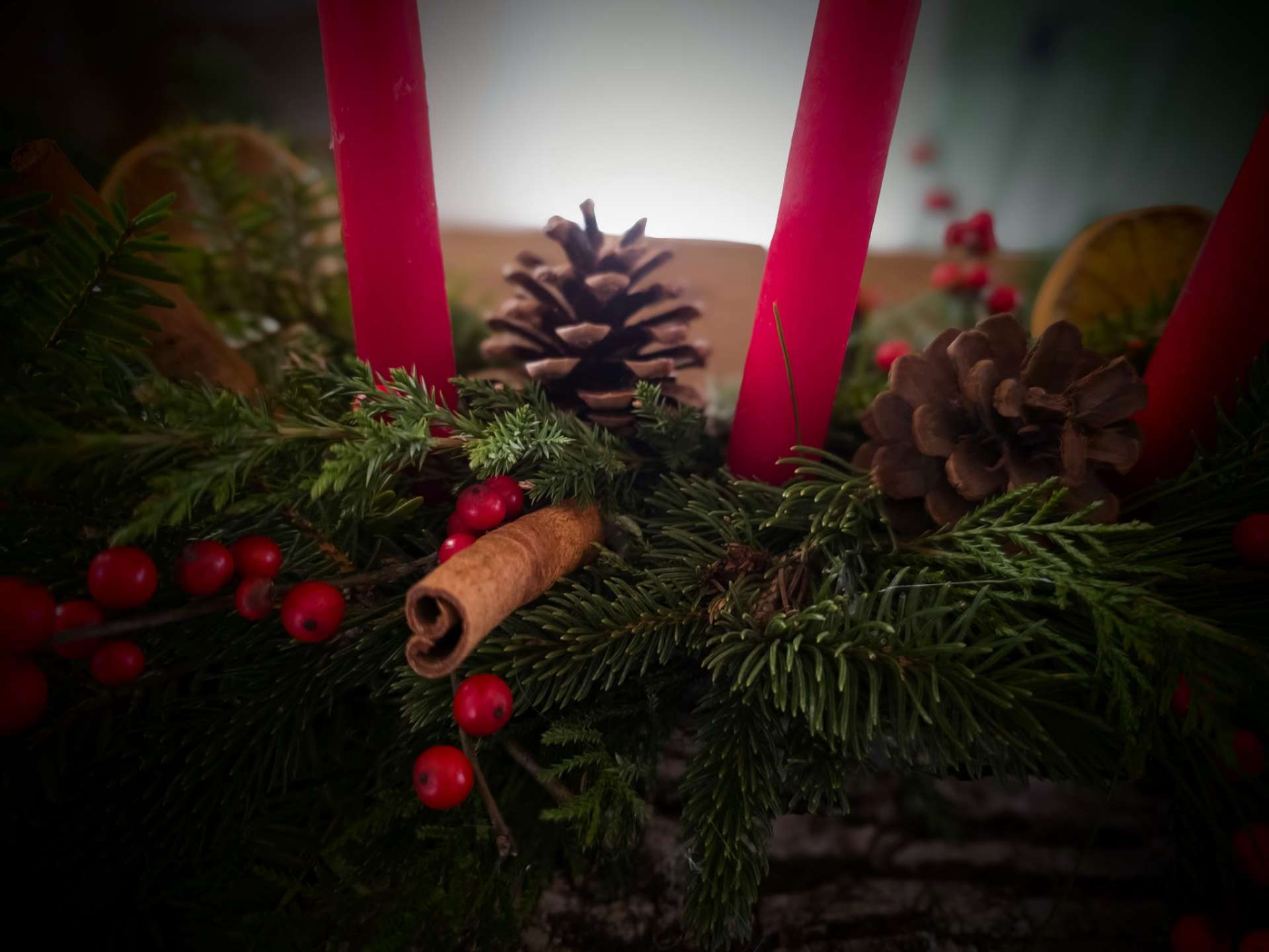 Make Your Own Yule Log: A Magical Holiday Tradition - The Outdoor ...