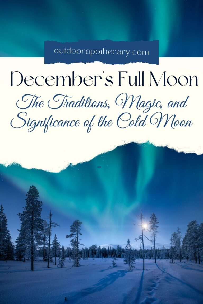 December's Full Moon: The Significance, Symbolism, And Folklore Of The ...