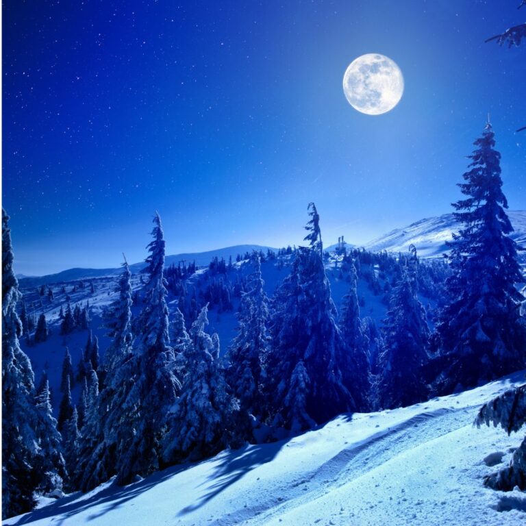 December's Full Moon: The Significance, Symbolism, And Folklore Of The ...
