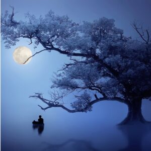 December's Full Moon: The Significance, Symbolism, And Folklore Of The ...