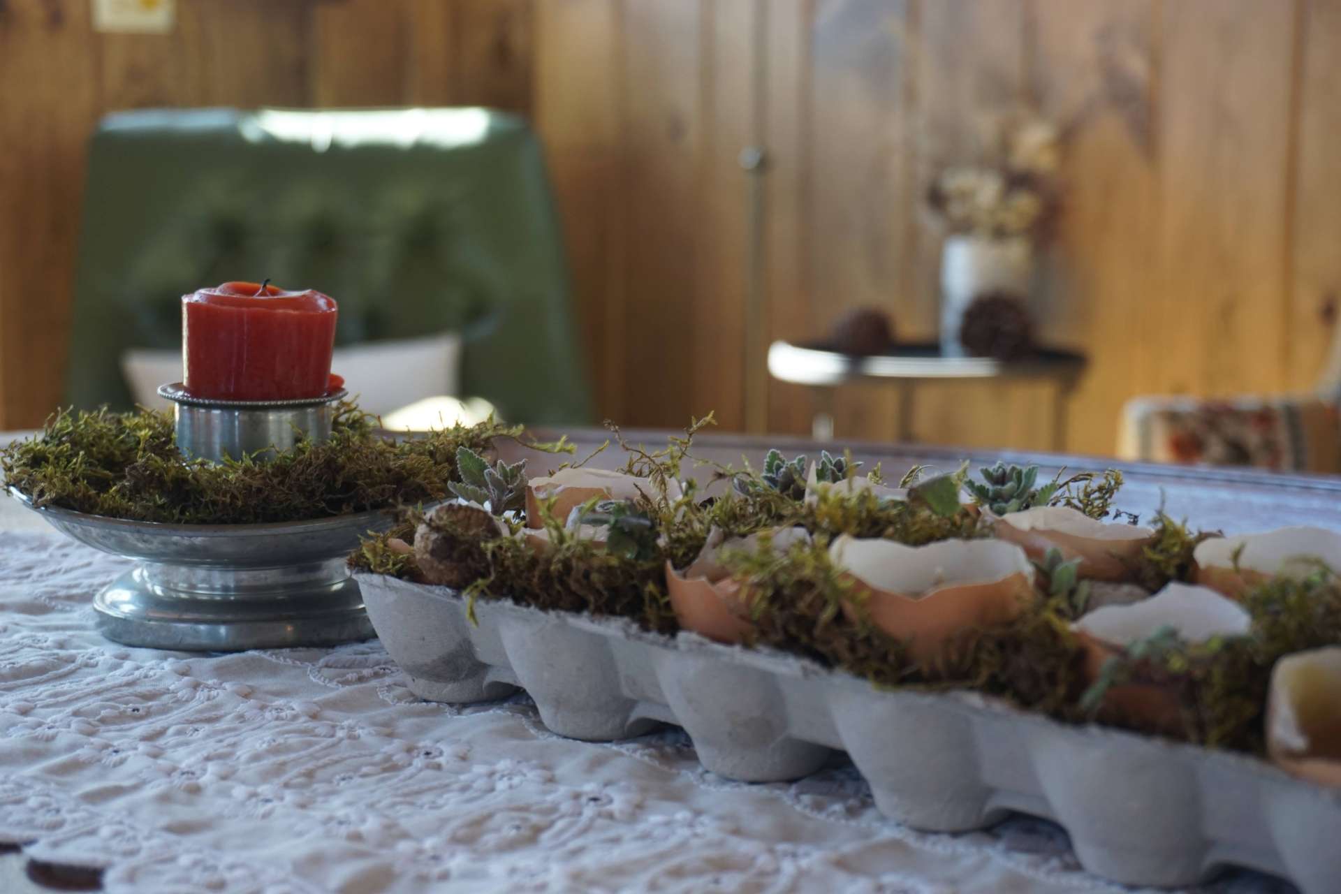 Embracing Renewal: A Simple Spring Equinox Ritual - The Outdoor Apothecary