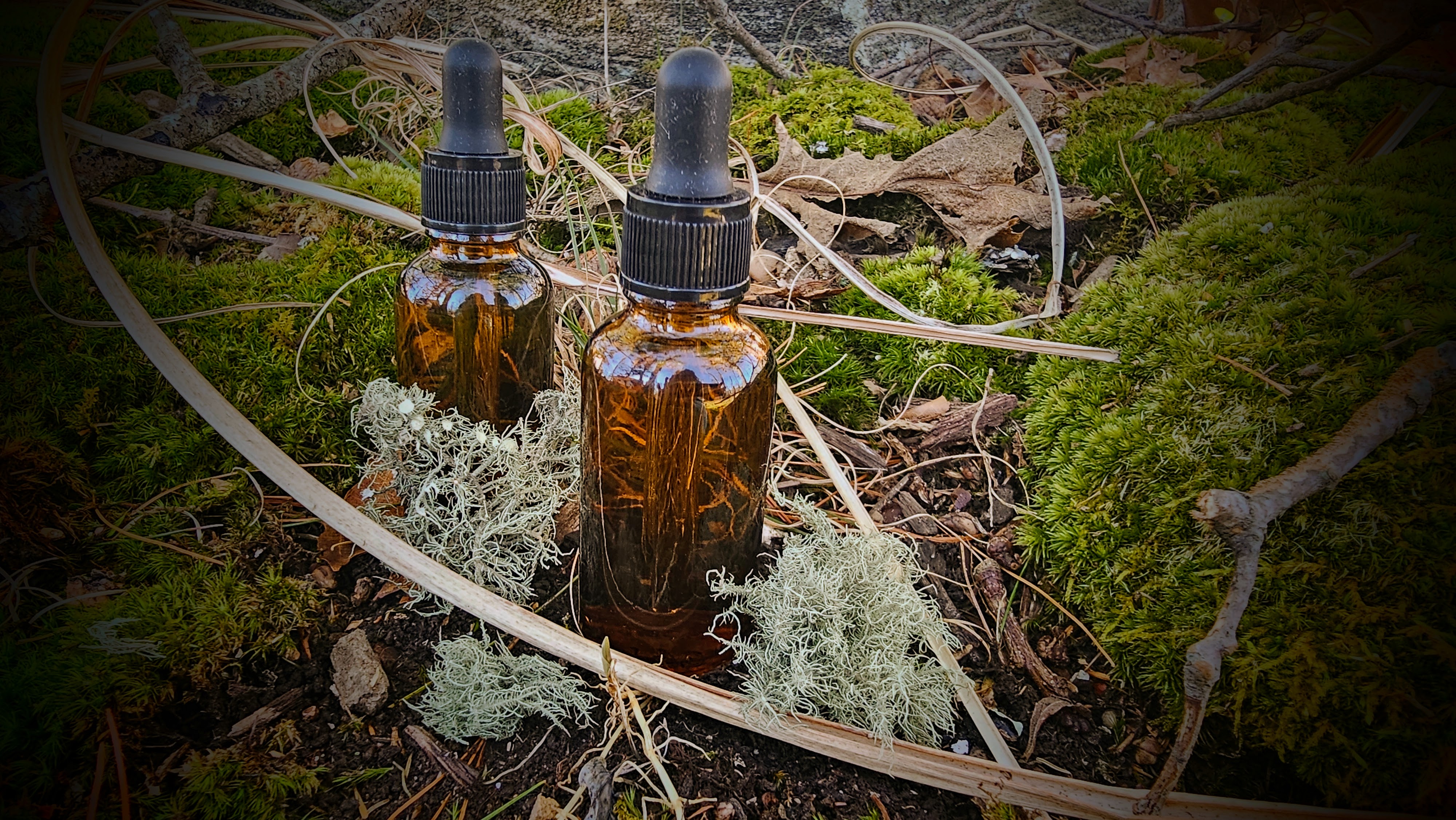 Mastering Herbal Wisdom And Natural Healing! - The Outdoor Apothecary