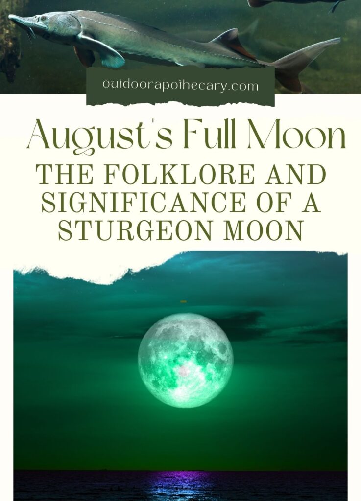 August's Full Moon: Exploring The Folklore And Significance Of A ...