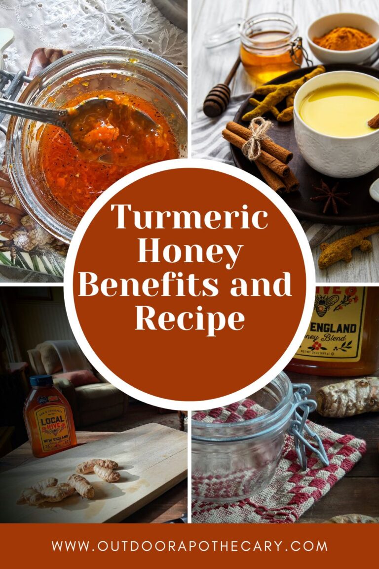 Turmeric Honey Benefits And Simple Recipe - The Outdoor Apothecary