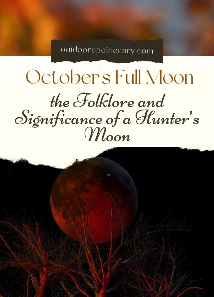 October’s Full Moon: Delving Into The Traditions And Magic Of The ...