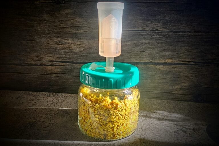 How To Make Fermented Turmeric (With Incredible Health Benefits) - The ...