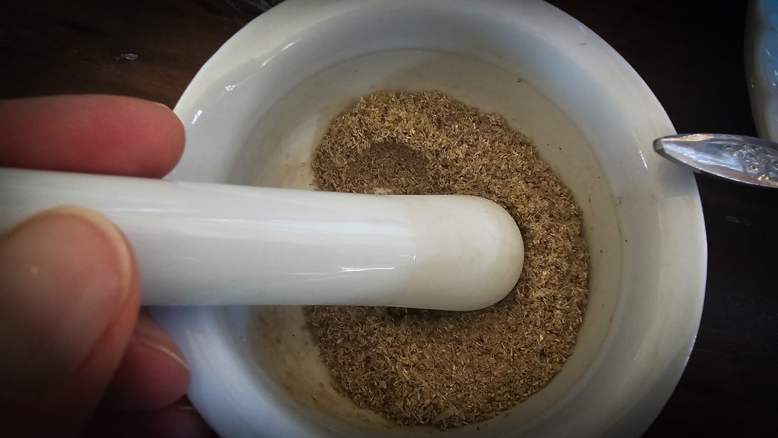 Making Herbal Electuaries: An Easy Herbal Remedy - The Outdoor Apothecary