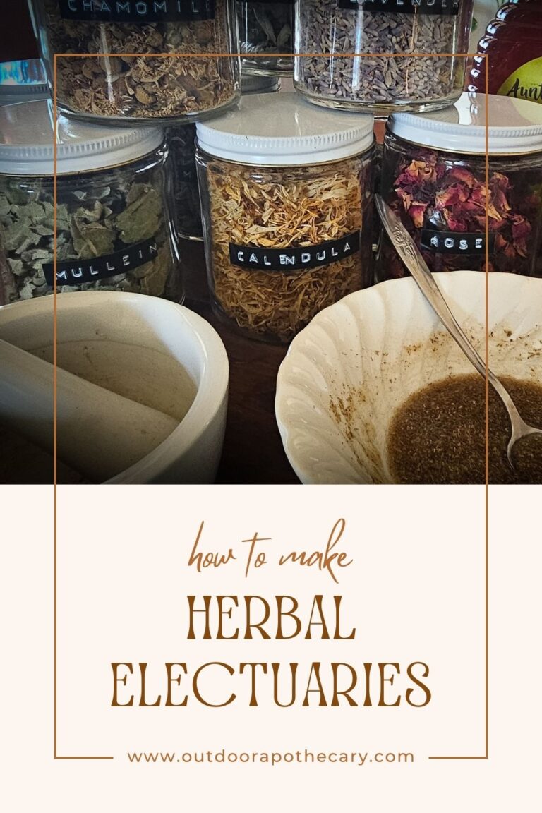 Making Herbal Electuaries: An Easy Herbal Remedy - The Outdoor Apothecary