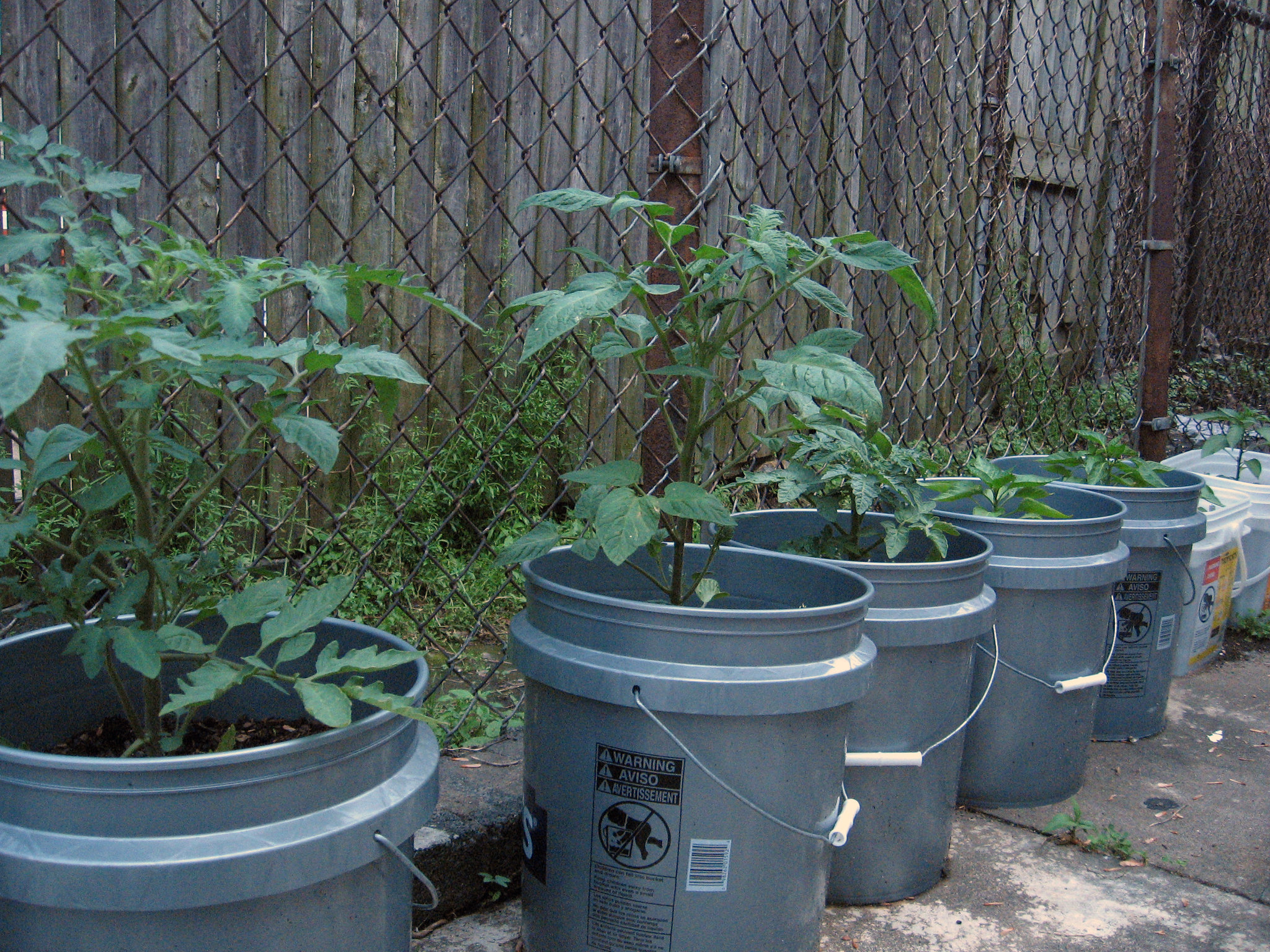 The Ultimate Bucket Garden Guide: Small Space, Big Harvest - The ...