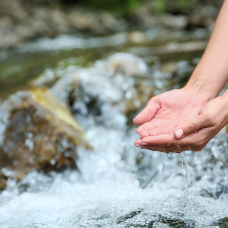 10 Spring Equinox Rituals For A Grounded Life - The Outdoor Apothecary
