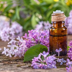 Exploring The Surprising Health Benefits Of Lilacs - The Outdoor Apothecary