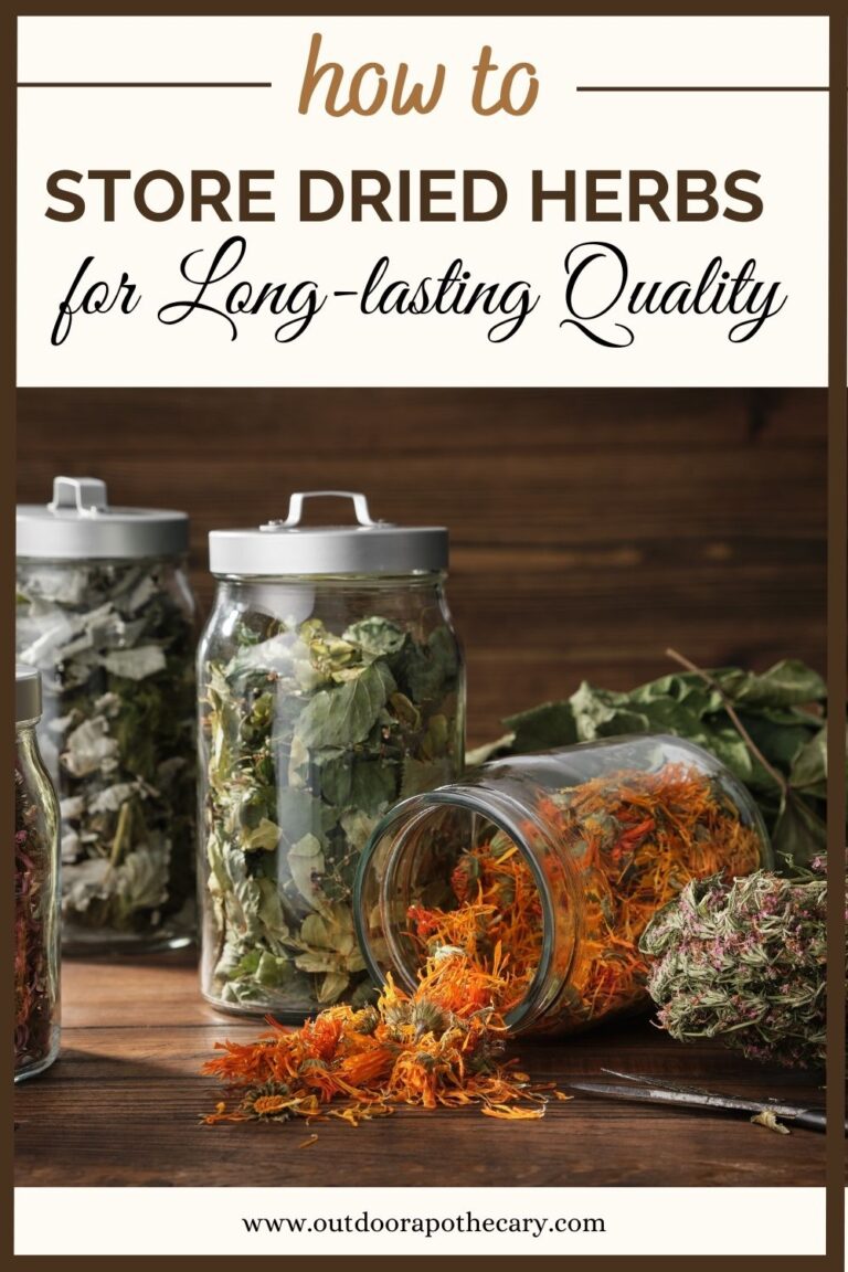 How To Store Dried Herbs For Long-lasting Quality - The Outdoor Apothecary