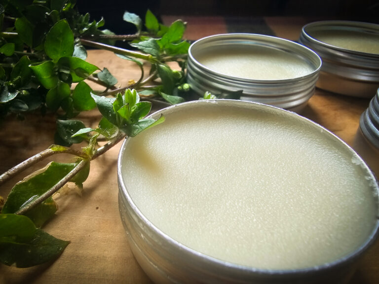 Make Your Own Chickweed Salve: A Natural Healer - The Outdoor Apothecary