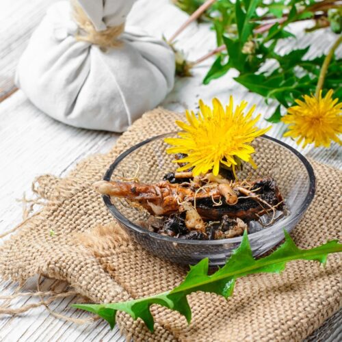 10 Easy Spring Herbs To Forage For Wellness - The Outdoor Apothecary