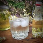 Foraging Juneberry: Identification, Benefits And Uses. - The Outdoor ...