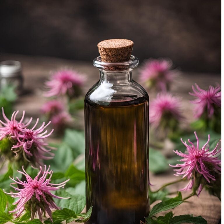 Bee Balm Tincture: Benefits And Easy Preparation - The Outdoor Apothecary