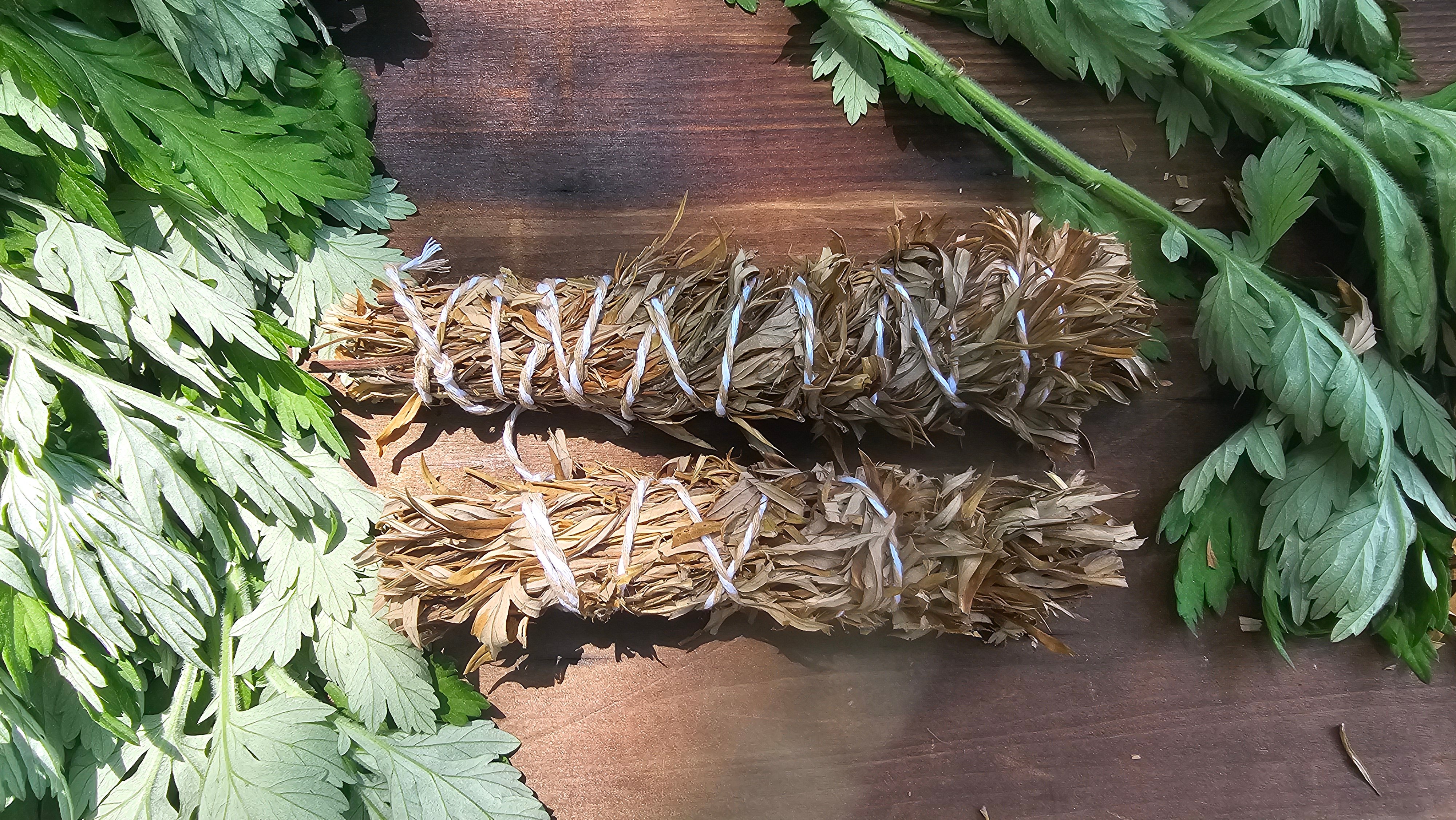 DIY Mugwort Cleansing Sticks: Protect And Purify - The Outdoor Apothecary