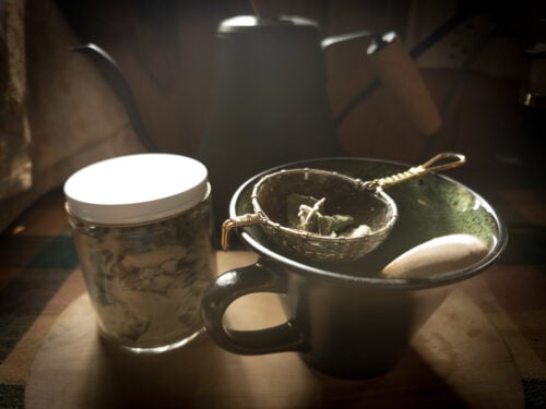 The Amazing Benefits Of Boneset Tea & How To Make It At Home - The ...