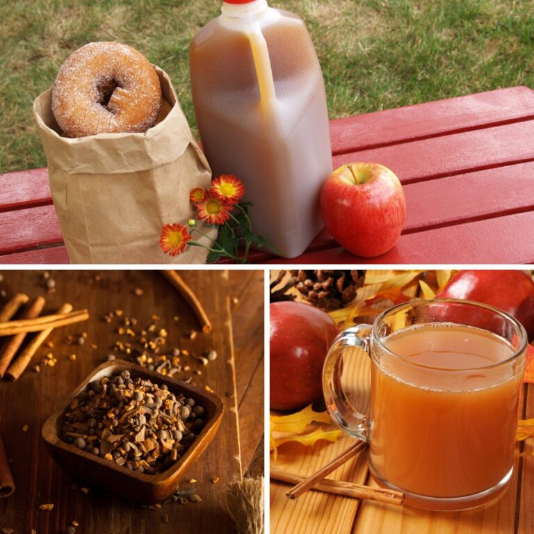 Hot Apple Cider Magic: A Delicious Autumn Ritual Of Self-Care - The ...