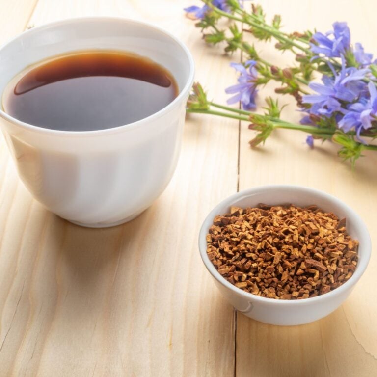 Roasted Chicory Root: A Delicious Coffee Alternative - The Outdoor ...