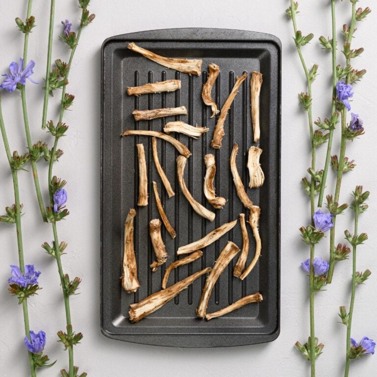 Roasted Chicory Root: A Delicious Coffee Alternative - The Outdoor ...